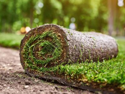 Gras op rol | Gras op rol prijs | Hendriks Graszoden