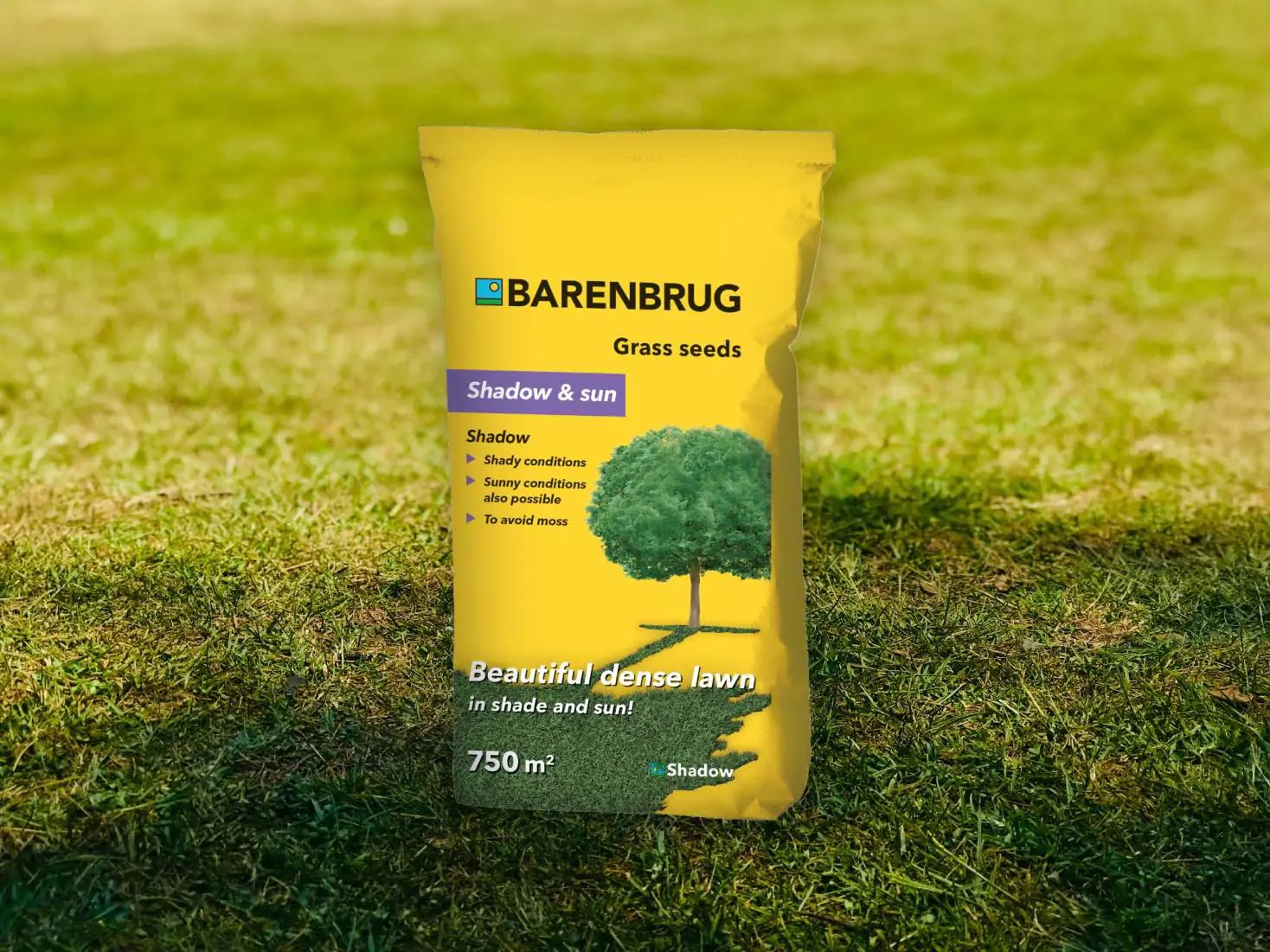 Barenbrug Shadow | Graszaad | Hendriks Graszaad